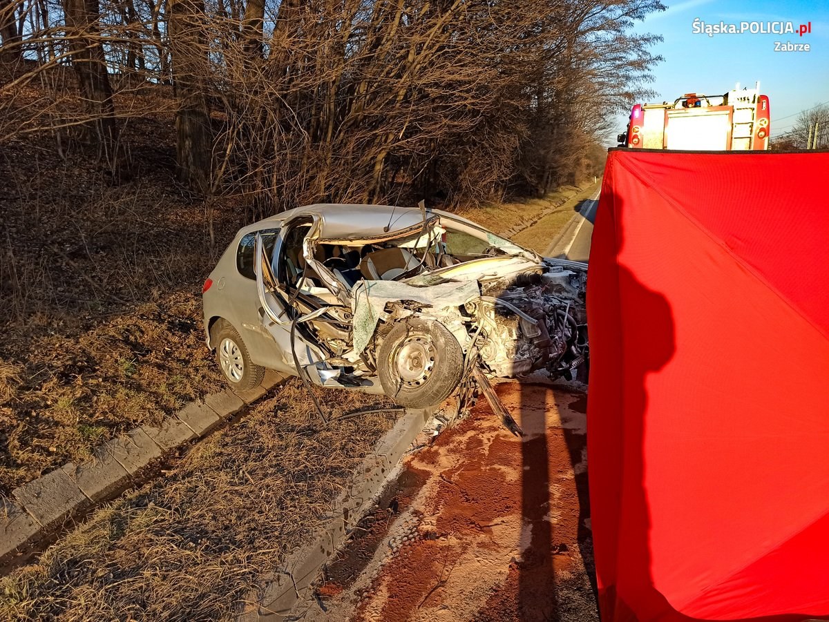 Zdjęcie 1 | Śmiertelny wypadek na Drodze Krajowej nr 88. Nie żyje 22-letni kierowca peugota